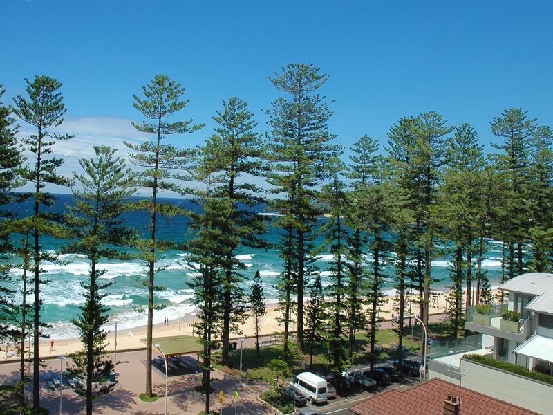 21/62-65 North Steyne, Manly, NSW 2095 - realestate.com.au