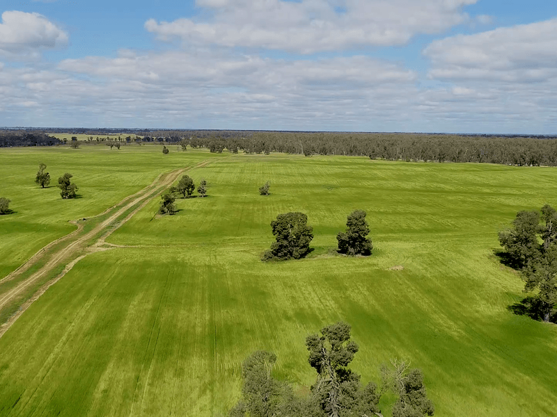 Lot 2, 3703 Barooga-Tocumwal Road, Barooga, NSW 3644 - Property Details