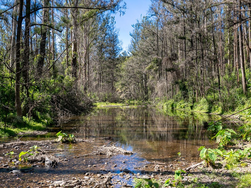 1584 Nulla Nulla Creek Road, Bellbrook, NSW 2440 - Property Details