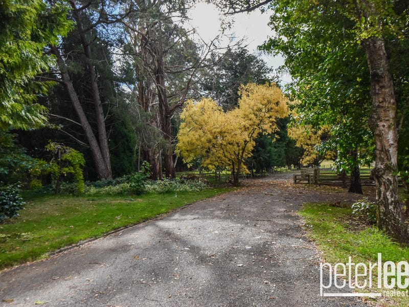 26 Ada Street, Scottsdale, TAS 7260 - realestate.com.au