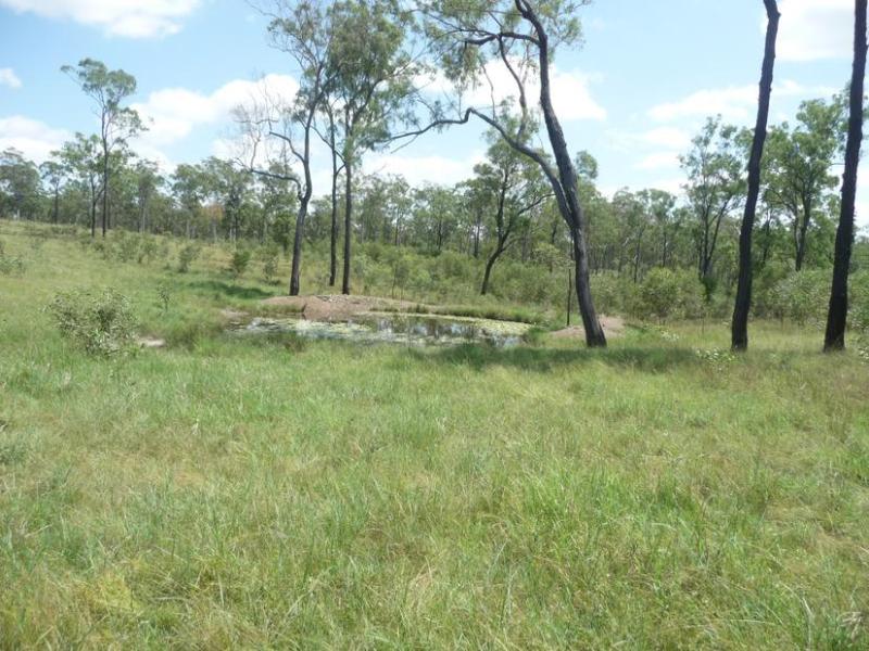 419 RINGWOOD ROAD, Booyal, Qld 4671 - Property Details