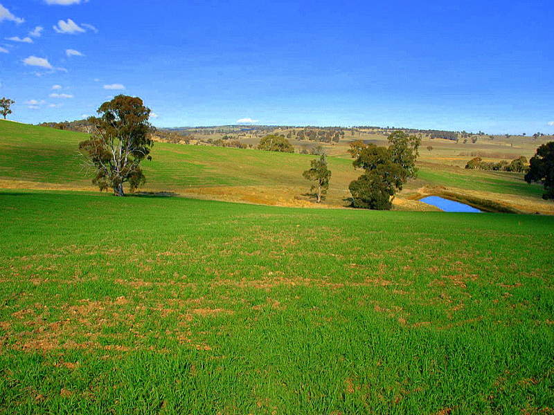 Lost River Rd, Crookwell, NSW 2583 - Property Details