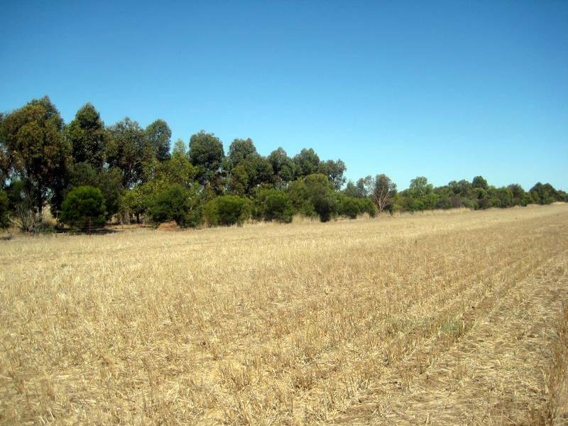 244 Wentworths Road, Wingeel, Vic 3321 - Property Details