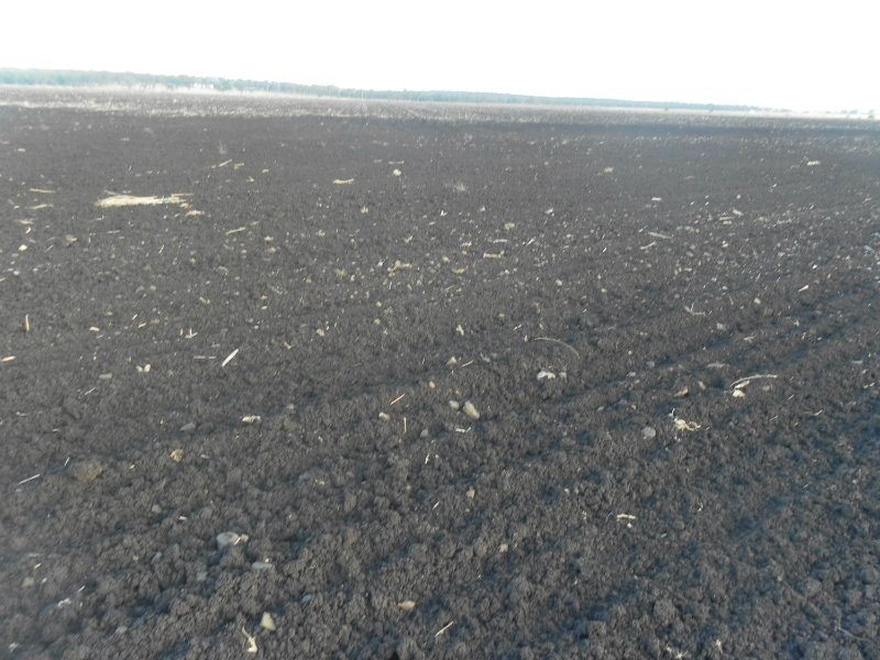 Lot 18 Cnr Ryeford-Back Plains & Seefeld Rds, Ryeford, Qld 4361 ...