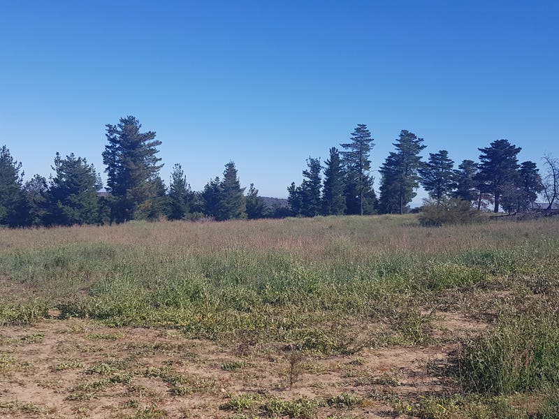 207, Nabaroo Road, Cowalla, WA 6503 - Property Details