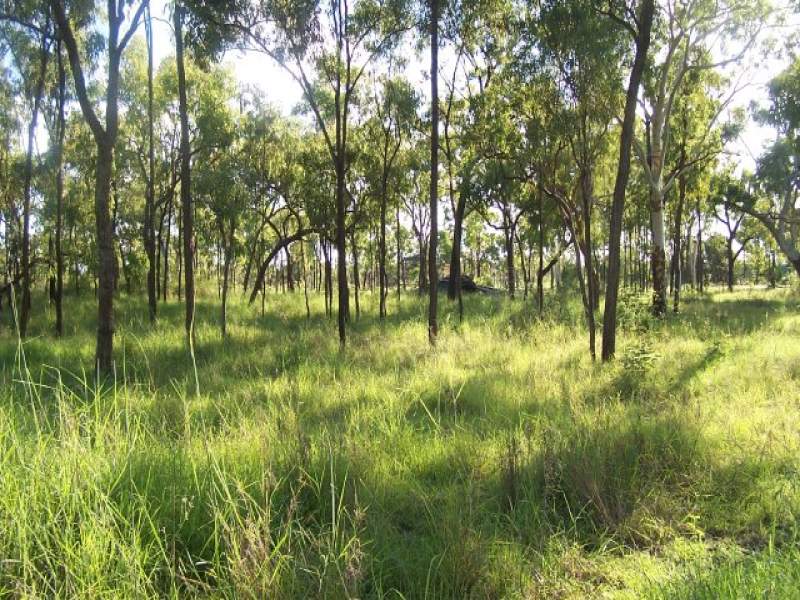 Property 7237614, Campaspe, Qld 4820 - Property Details