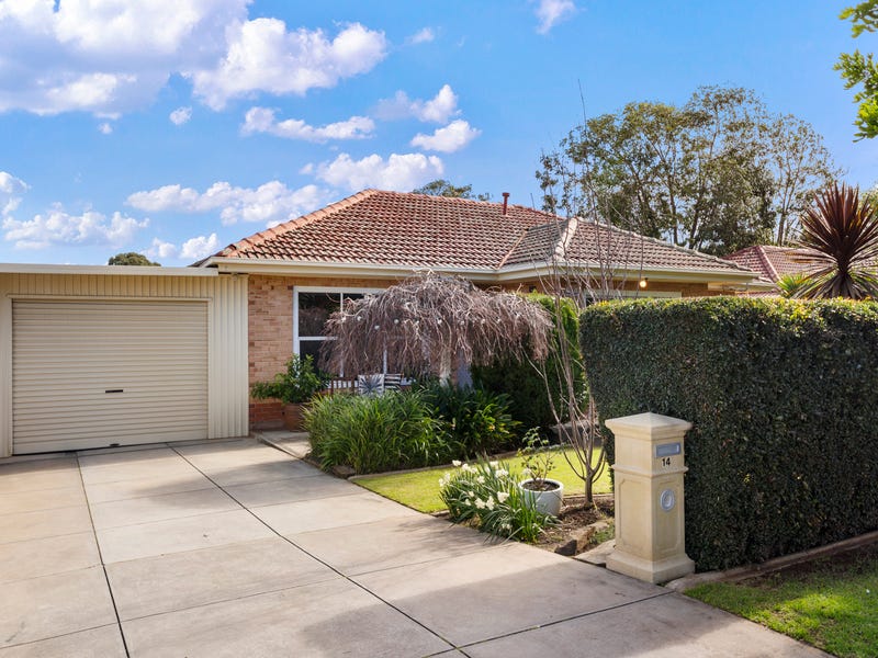 14 Primrose Avenue, Paradise, SA 5075 - Property Details