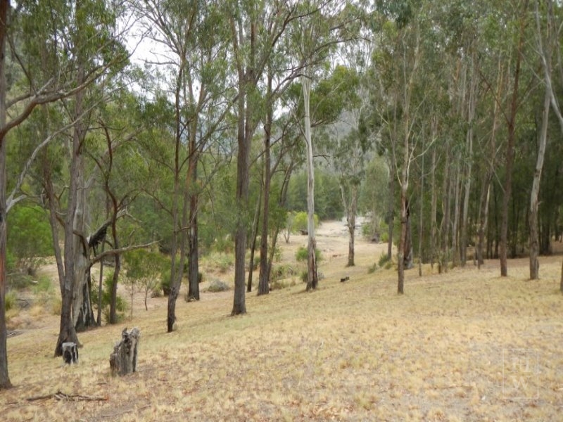 321 River Island Road, Bullio, NSW 2575 - Property Details
