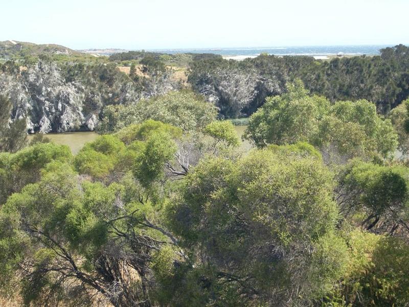 35 CHURCH, Dongara, WA 6525 - Property Details