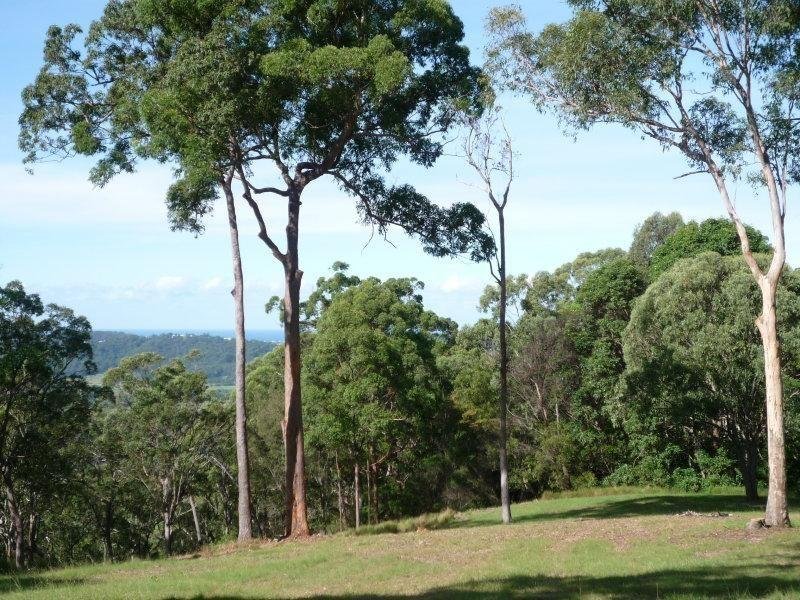 9 Karnu Drive, Ninderry, QLD 4561 - realestate.com.au