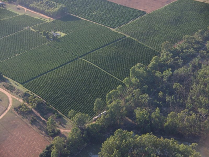 Wakool Junction Road, Goodnight, NSW 2736 - Property Details