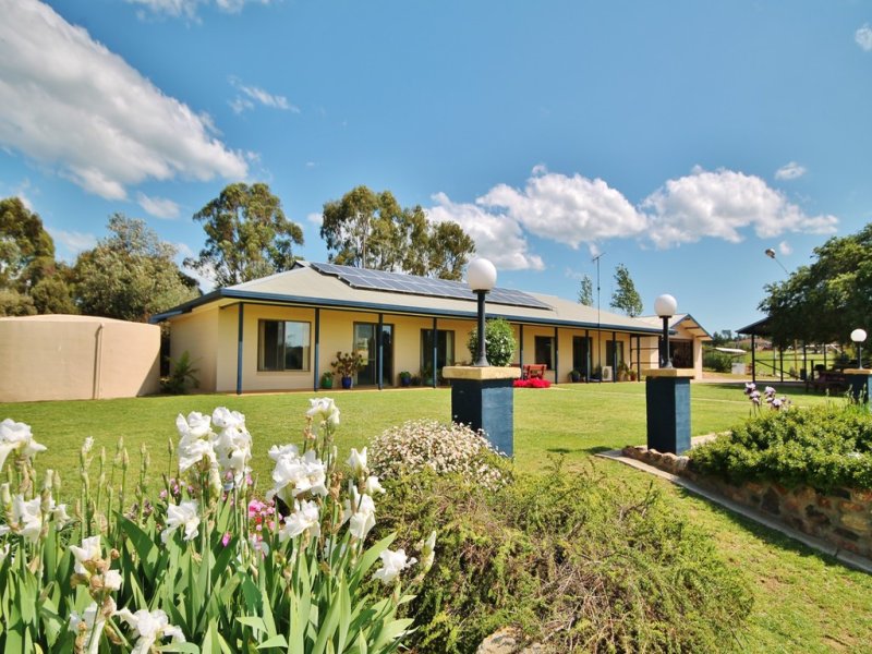 3844 Murringo Road, Young, NSW 2594 - realestate.com.au