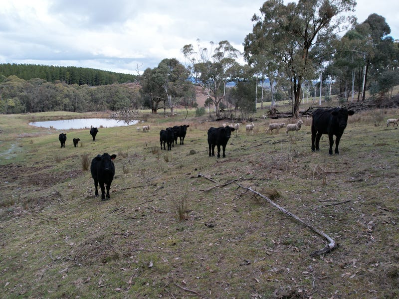 Lots 1, 4, 7 Glenroy Hills Road, Tumbarumba, NSW 2653 - Lifestyle for ...