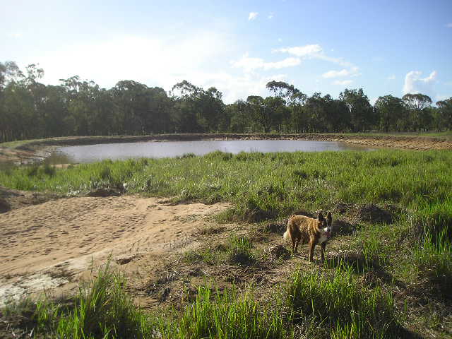 Lot 11 Box Ridge Road, Coonabarabran, NSW 2357 - Property Details