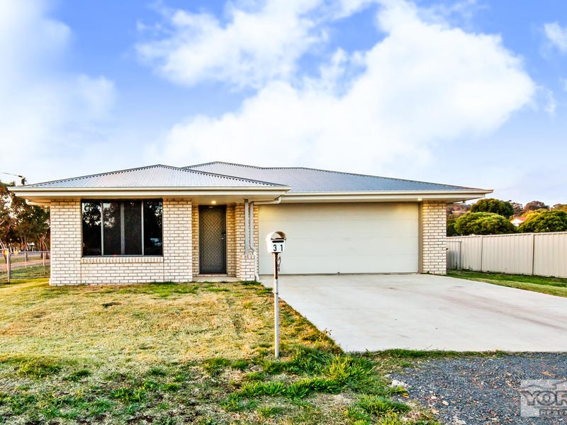 31 Ruby Street, Kingsthorpe, Qld 4400 - Property Details