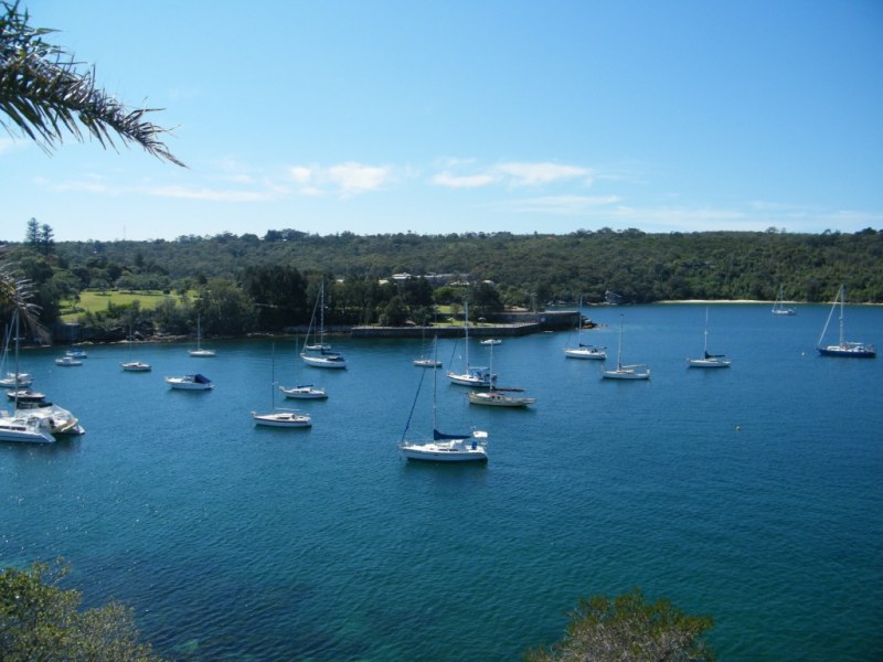 14 Addison Road, Manly, NSW 2095 - realestate.com.au