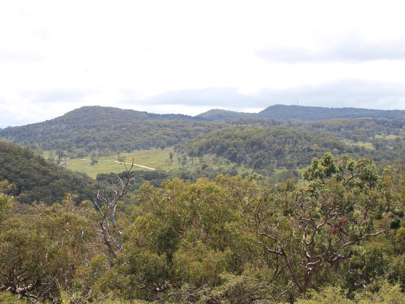 1167 Mount Mackenzie Road, Tenterfield, NSW 2372 - Property Details