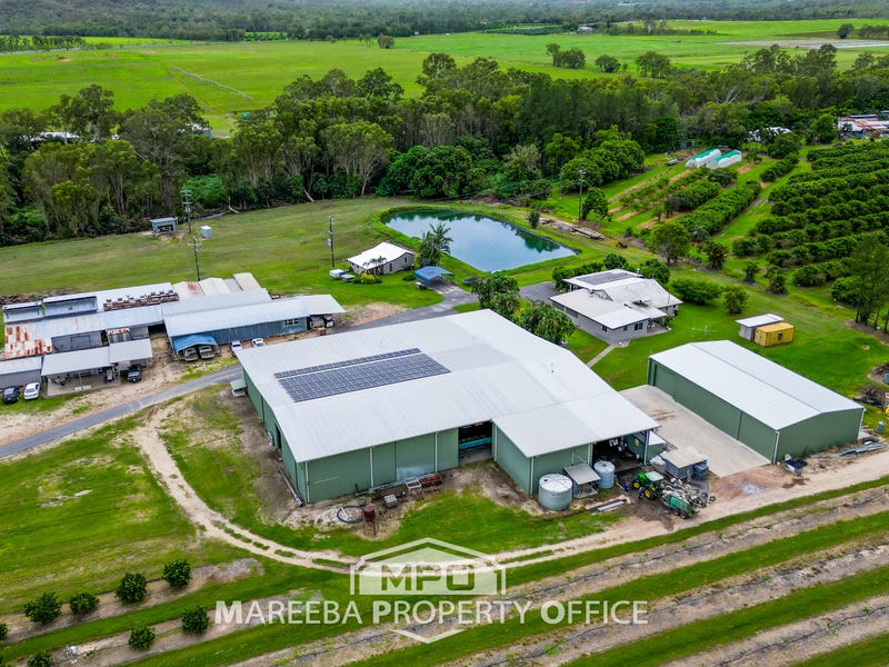 4283 Kennedy Highway, Mareeba, Qld 4880 - Horticulture for Sale ...