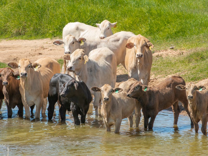 "Duffield" Chinchilla Wondai Road, Durong, Qld 4610 - Property Details