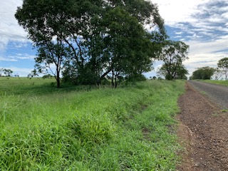 Crosshill Aubigny Road, Biddeston, Qld 4401 - Property Details