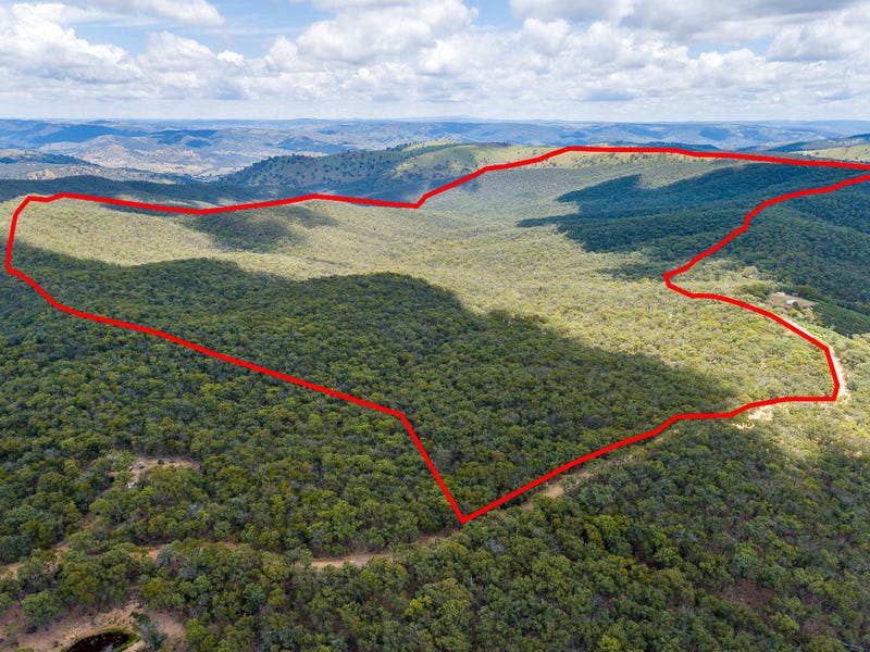 871 Box Ridge Road, Bruinbun, NSW 2795 - Property Details