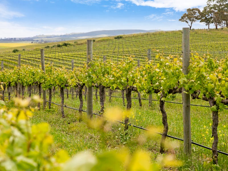 Rural properties for Sale in SA - realestate.com.au