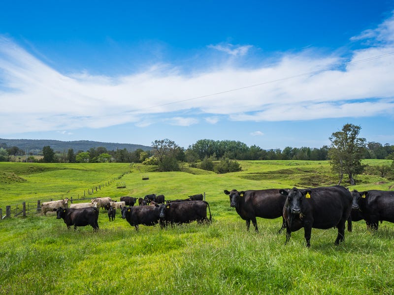 673 Summer Hill Road, Vacy, NSW 2421 - Property Details