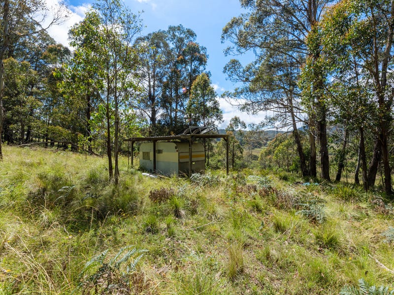 117 Blue Bush Road, Wyanbene, NSW 2622 - Property Details