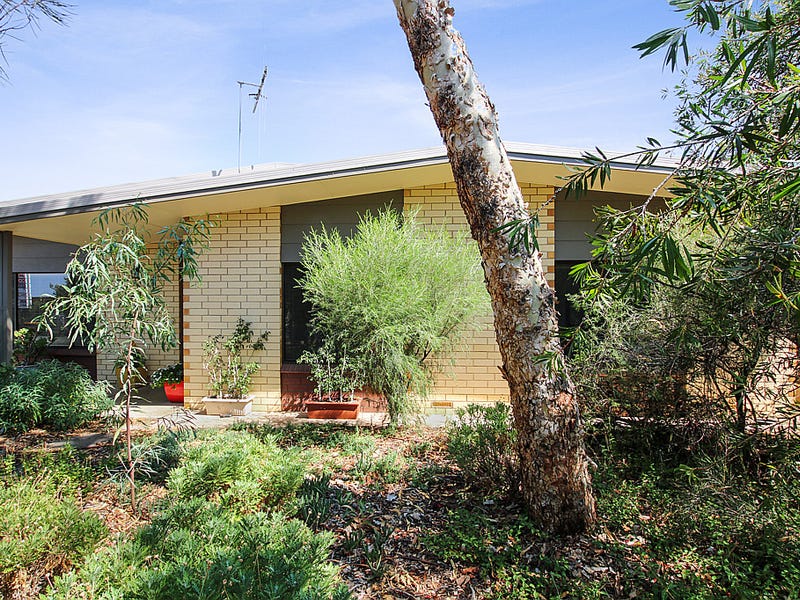 3 Sandercock Street, Berri, SA 5343 - Property Details