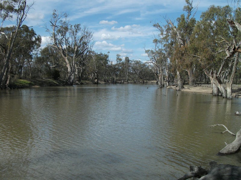 Lot 12 Line Road, Wakool, NSW 2710 - Property Details