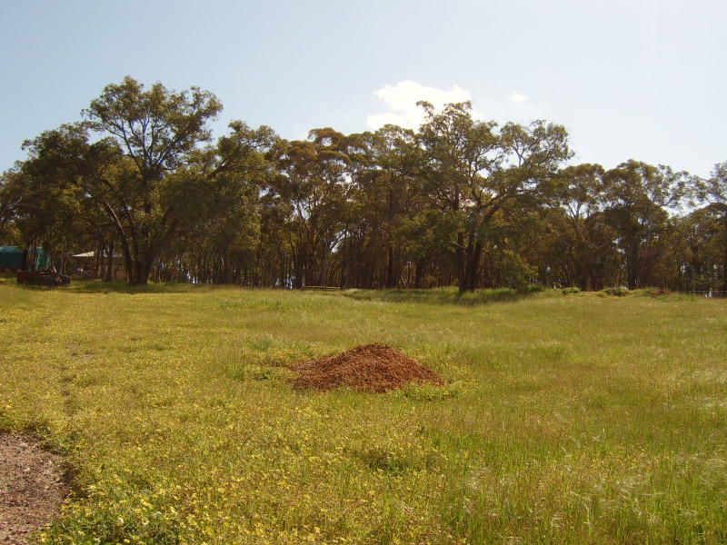 12 Wedgetail Rdge, Bullsbrook, WA 6084 - realestate.com.au