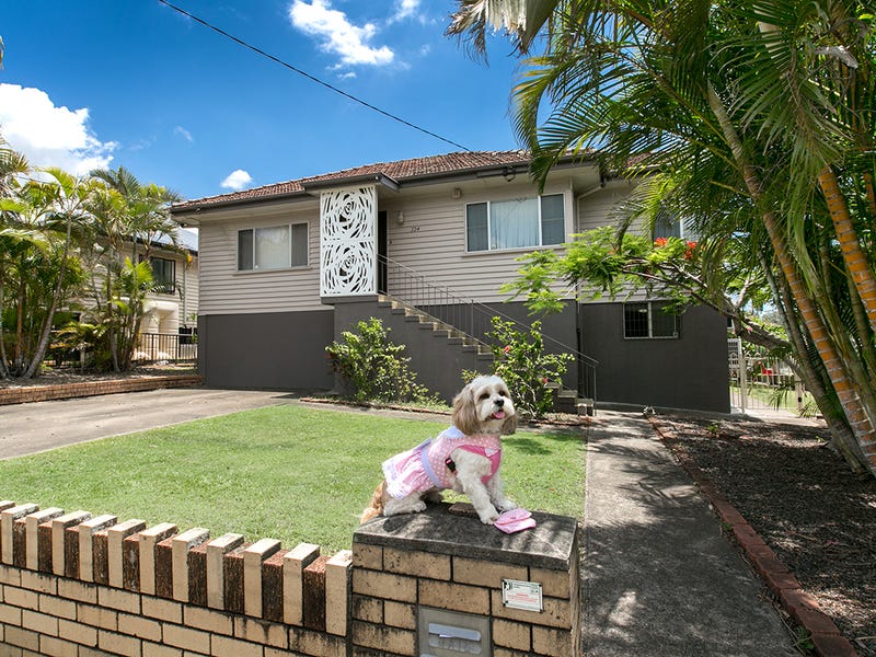 224 Stanley Road, Carina, Qld 4152 - Property Details