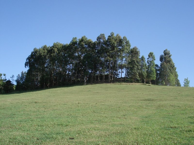 335 Federal Road, Federal, NSW 2480 - Property Details