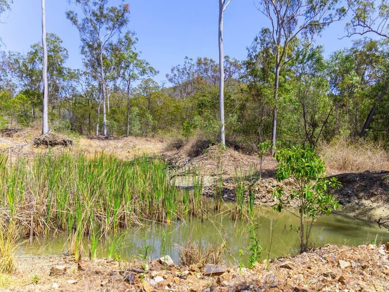 253 Creevey Drive, Captain Creek, QLD 4677 - realestate.com.au