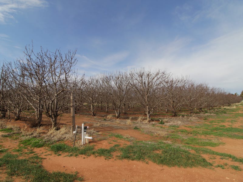 45 Dunstone Road, Barmera, SA 5345 - realestate.com.au