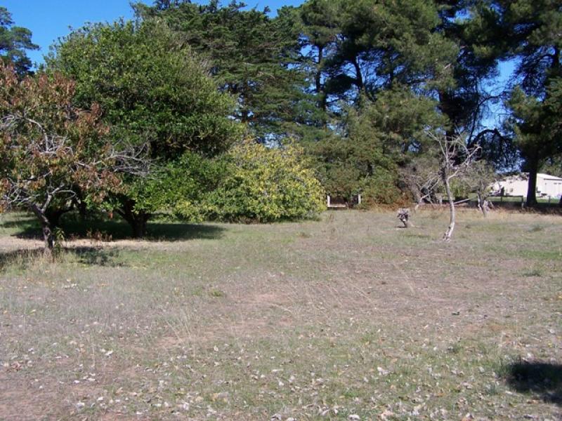 Lot 3 Boandik Drive, Millicent, SA 5280 - realestate.com.au