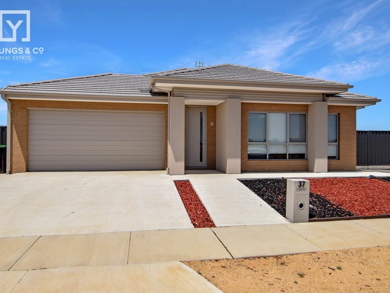 37 Mallacoota Drive, Kialla, VIC 3631 - realestate.com.au