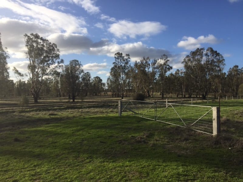 599 Lower Thule Road, Barham, NSW 2732 - realestate.com.au