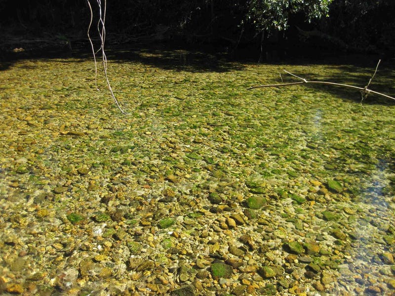 219 Old Tully Road, Bulgun, Qld 4854 - Property Details