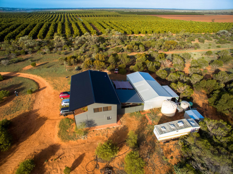 76 Cuttle Street, Renmark West, SA 5341 - realestate.com.au