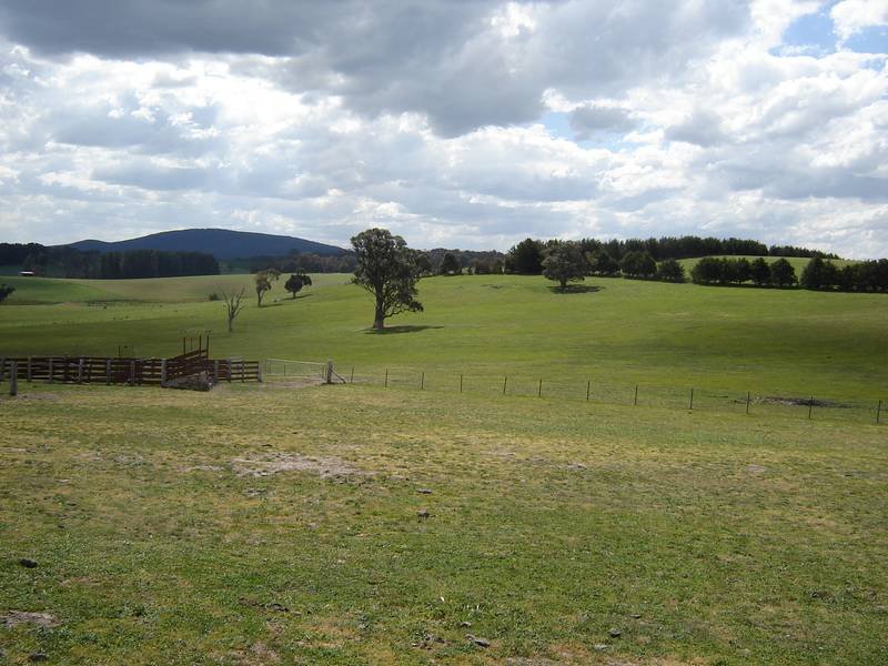 512 Barry Road, Neville, NSW 2799 - realestate.com.au