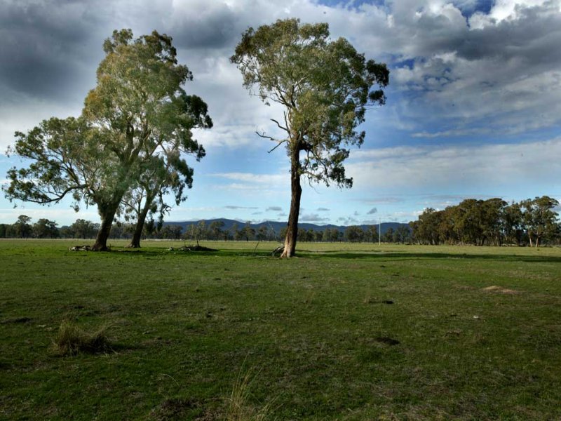 Old Euroa Road, Euroa, Vic 3666 - Property Details