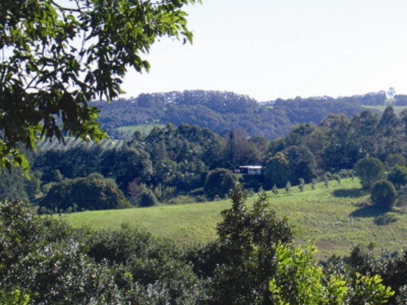 2468 Dunoon Road, Rosebank, NSW 2480 - realestate.com.au