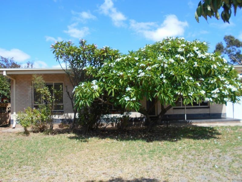 50 Catalina Avenue, Parafield Gardens, SA 5107 - realestate.com.au
