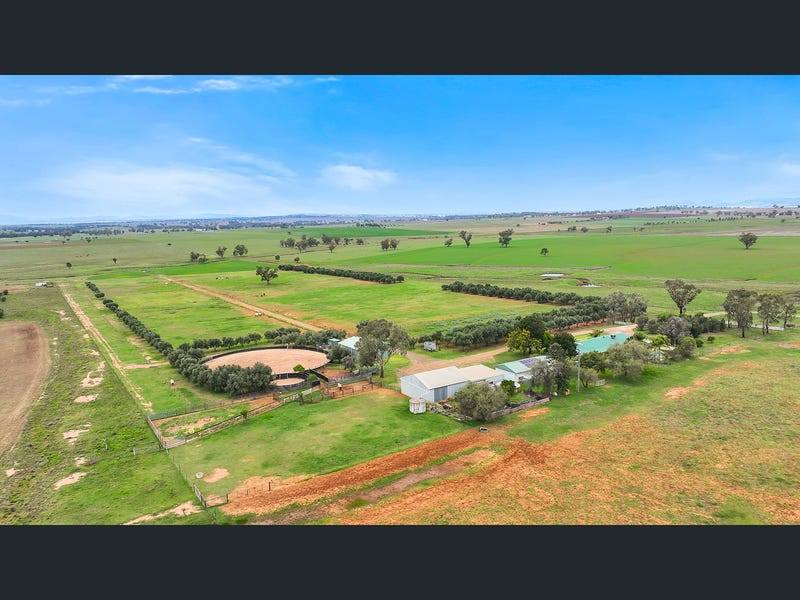 "La Trinidad", 259 Racecourse Road, Tamworth, NSW 2340 - Lifestyle for ...