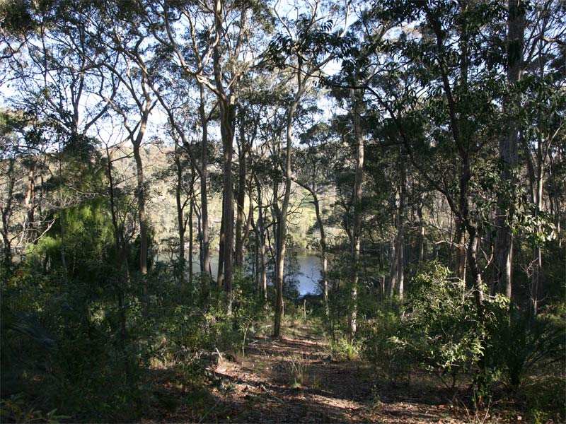 74 George Street, Bermagui, NSW 2546 - realestate.com.au