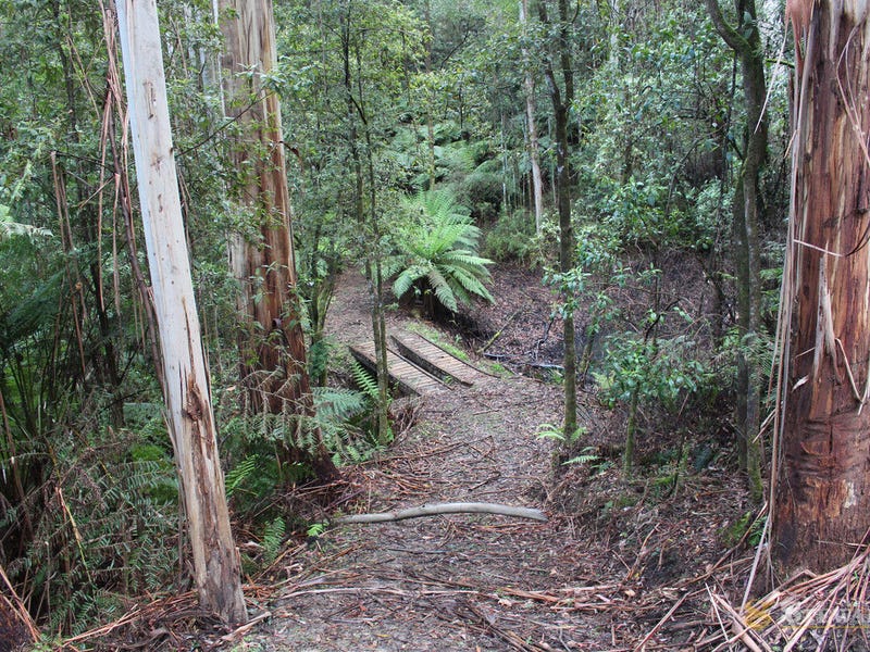 574 Apollo Bay-Forrest Road, Barramunga, Vic 3249 - Property Details