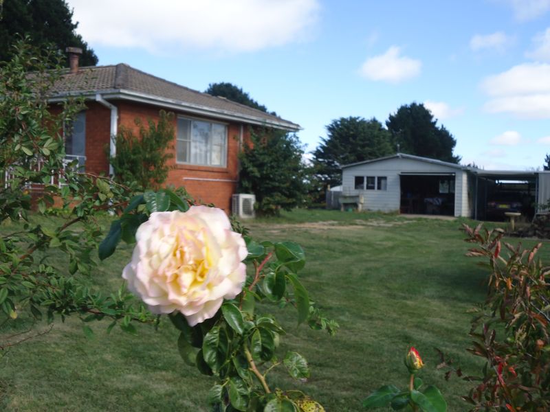 34 Wolfe St, Nimmitabel, NSW 2631 - Property Details