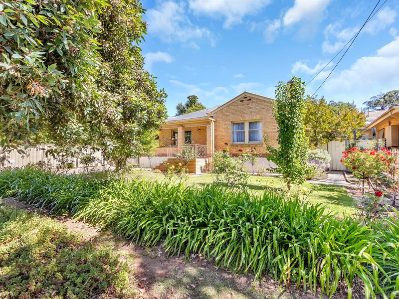 20 Radford Road, Angaston, SA 5353 - Property Details