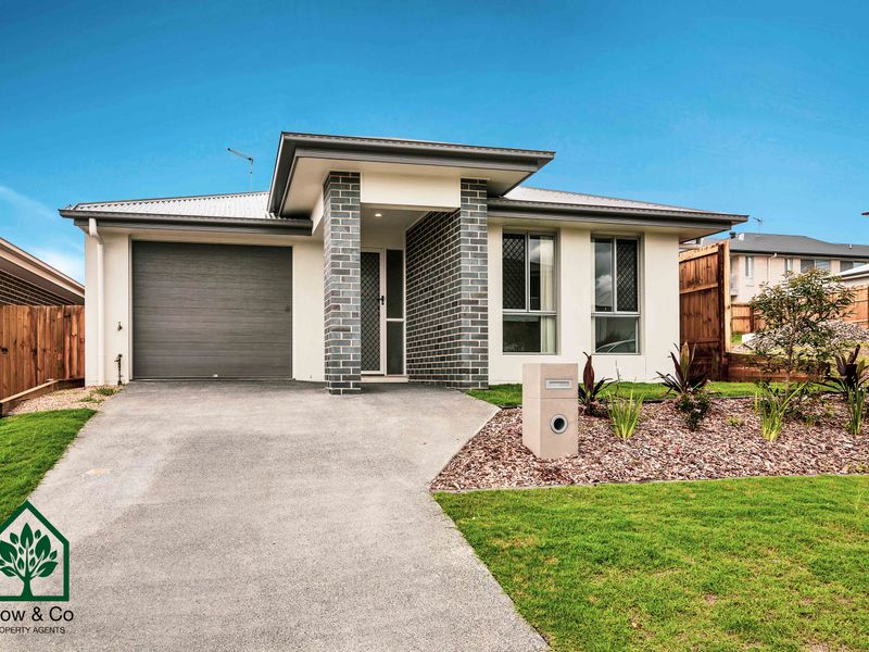 19 Mount Roberts Street, Park Ridge, QLD 4125 - realestate.com.au